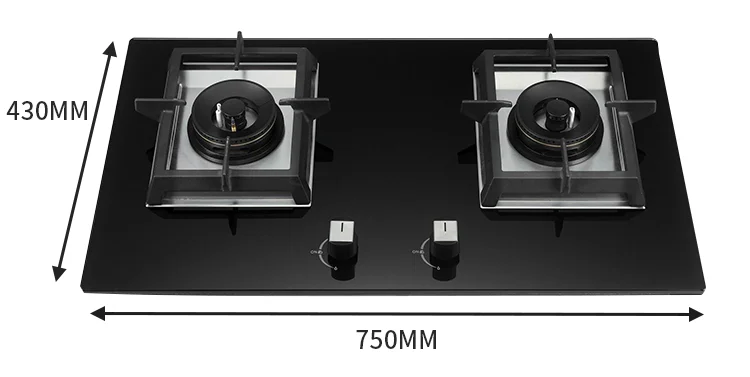 Two Burner Cast Iron Stainless Steel Gas Cooker for Philippines