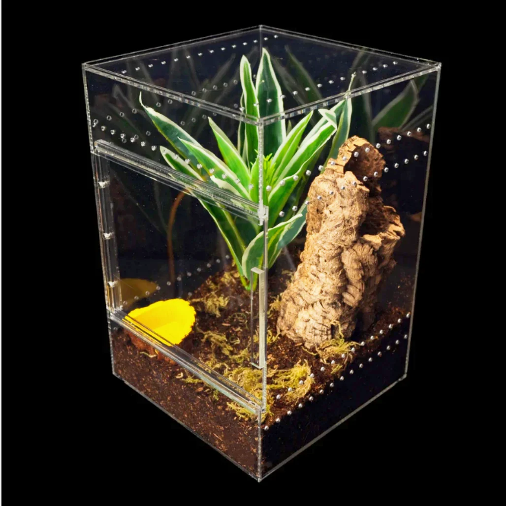 Wholesale Clear Acrylic Reptile Display Case - High Quality