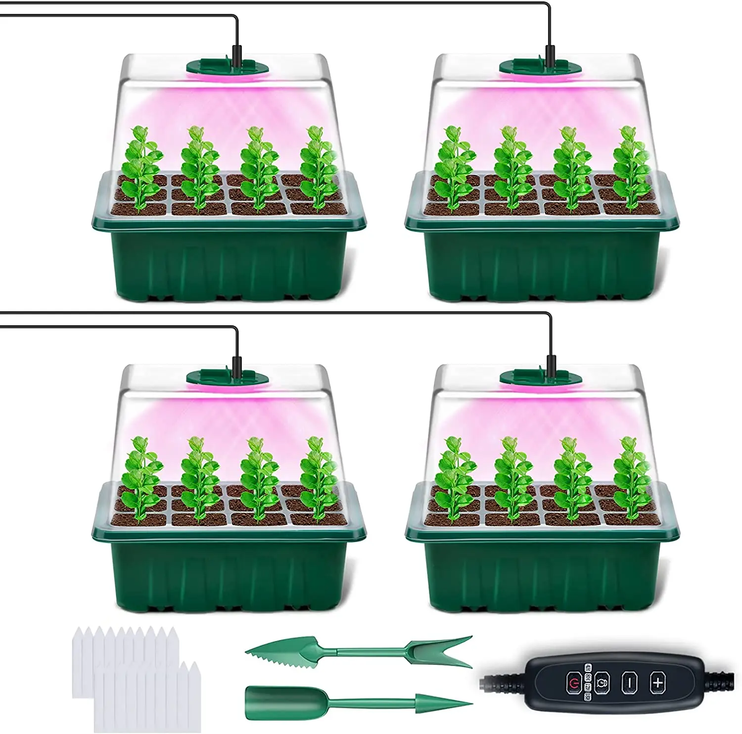 With Light Seedling Box Sowing Green Plants, Breeding Box a Variety of ...