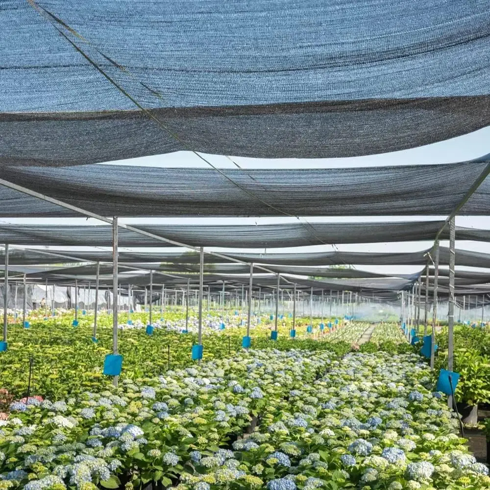 Agriculture Hdpe UV 90% Sun Shade Net Sail Multipurpose Shade Cloth Sun ...