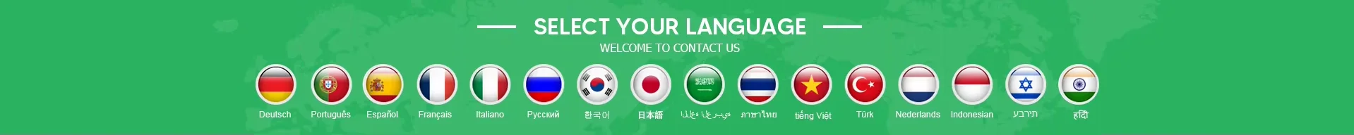 Company Overview - Shandong Ciwei Pharmaceutical Co., Ltd.