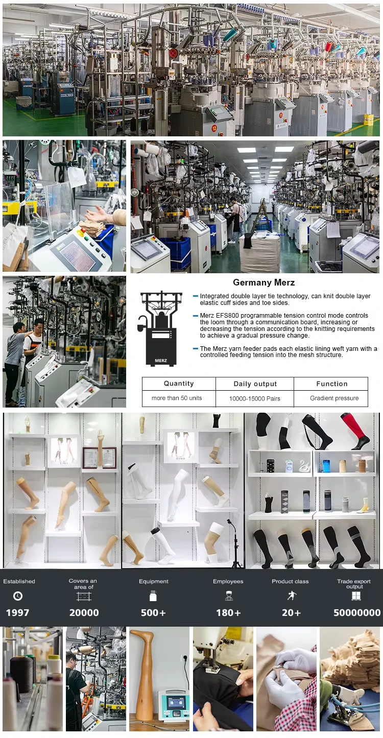 Shop Our Hot Sale Women's Sexy Plus Size Oil Shiny Pantyhose