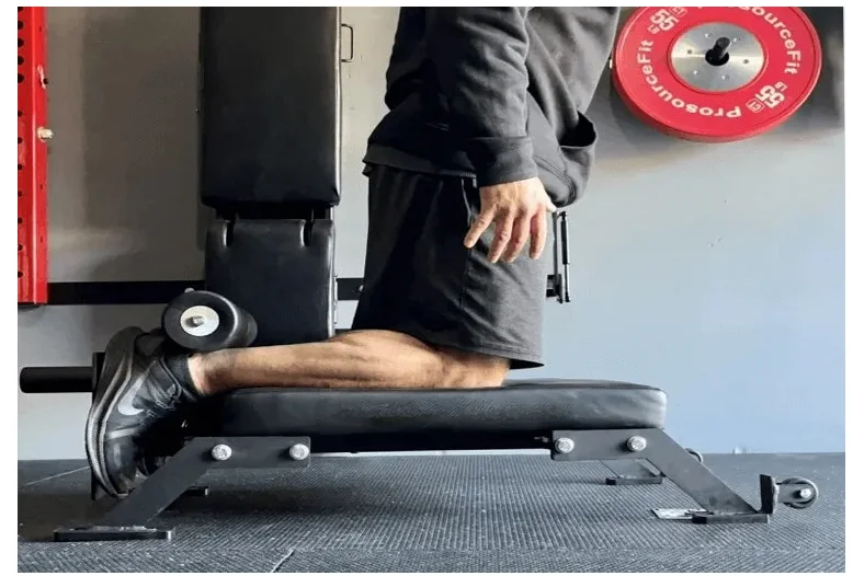 Fitness Nordic Curl Bench Floor Glute Ham Developer Glute Harm Roman ...