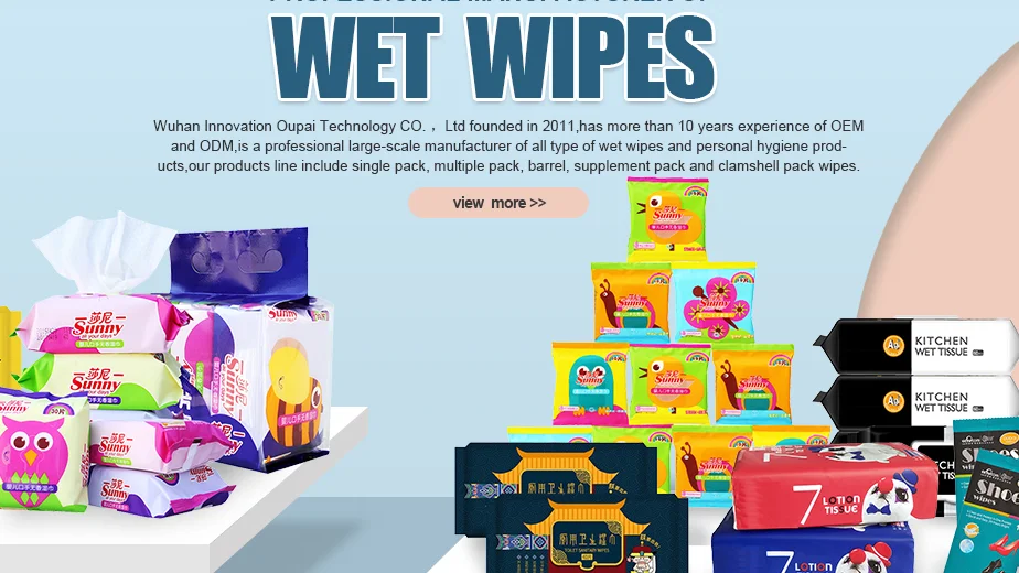 Company Overview - Wuhan Innovation Oupai Technology Company Limited