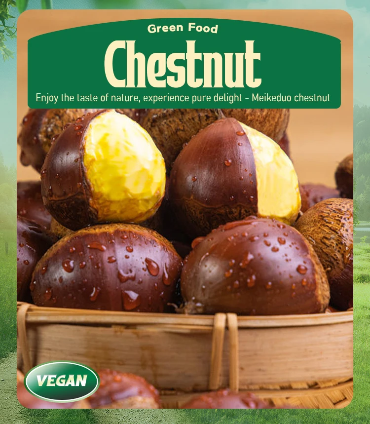 Fresh Chestnuts with Quick - Freeze Option Sweet Chestnuts Sweet ...