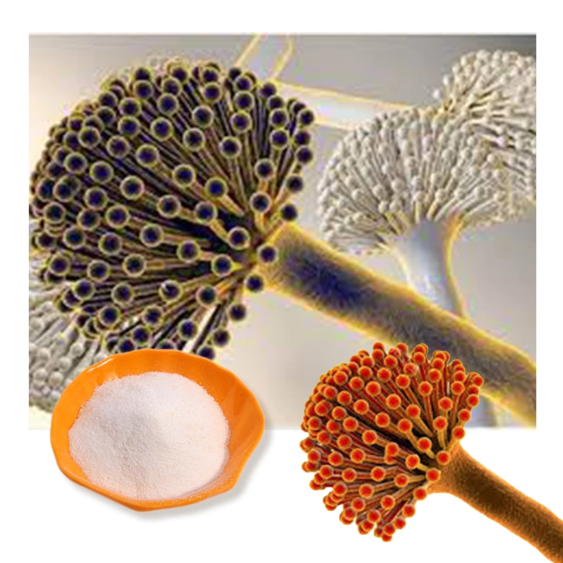 Natural Food Grade Chitin Chitosan/mushroom Chitosan Aspergillus Niger ...