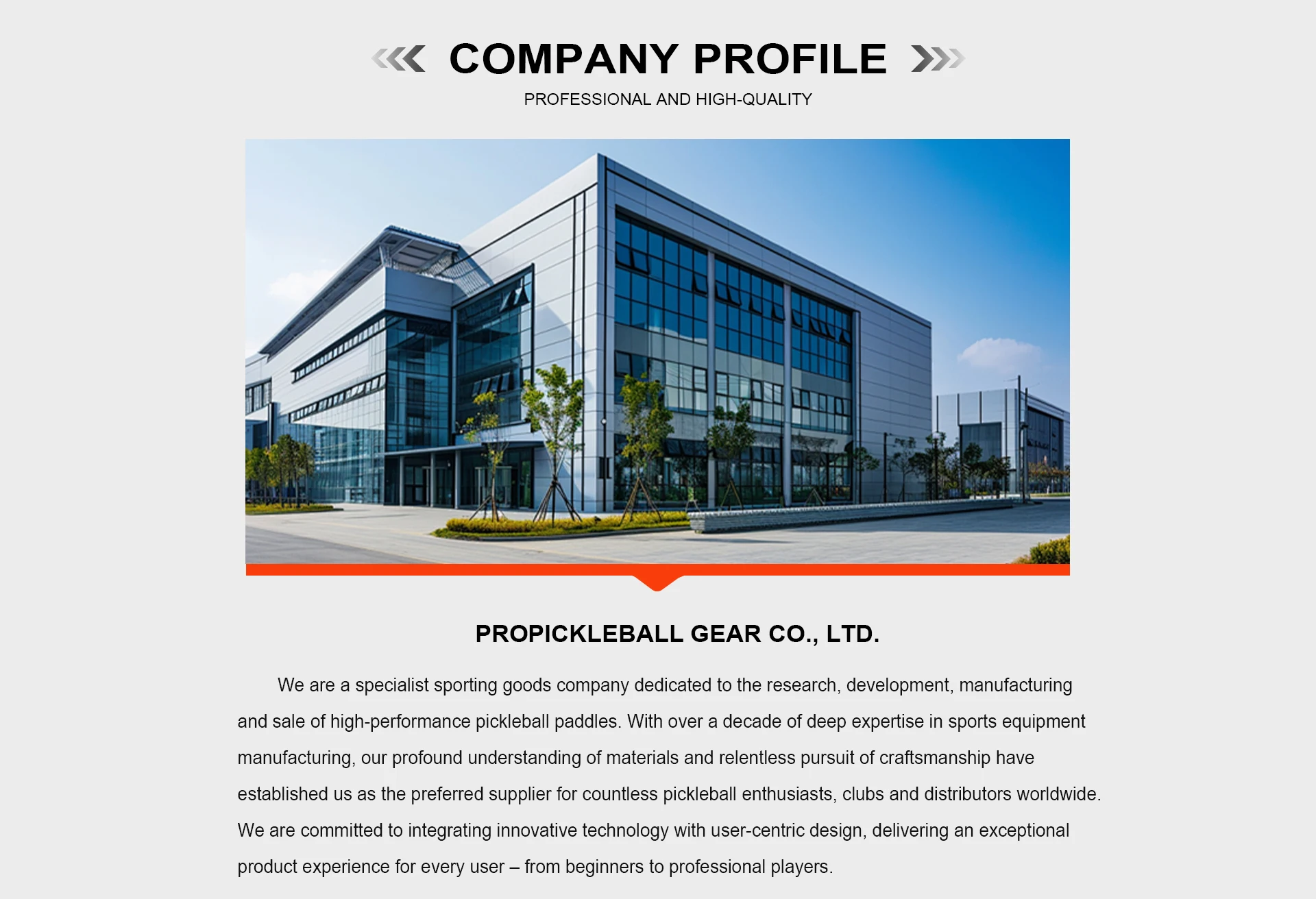 Ruyi 2026 Ultimate-Paddle Padel Racket Carbon-Fiber Diamond-shaped ...