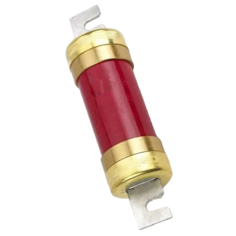 6-60a Rm10-380 500v/6-60a Special For Railway Locomotives Sealed Tube ...