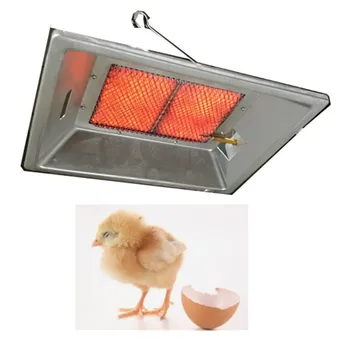 Farming Equipment Infrared Poultry Gas Brooder Heater For Baby Chick ...