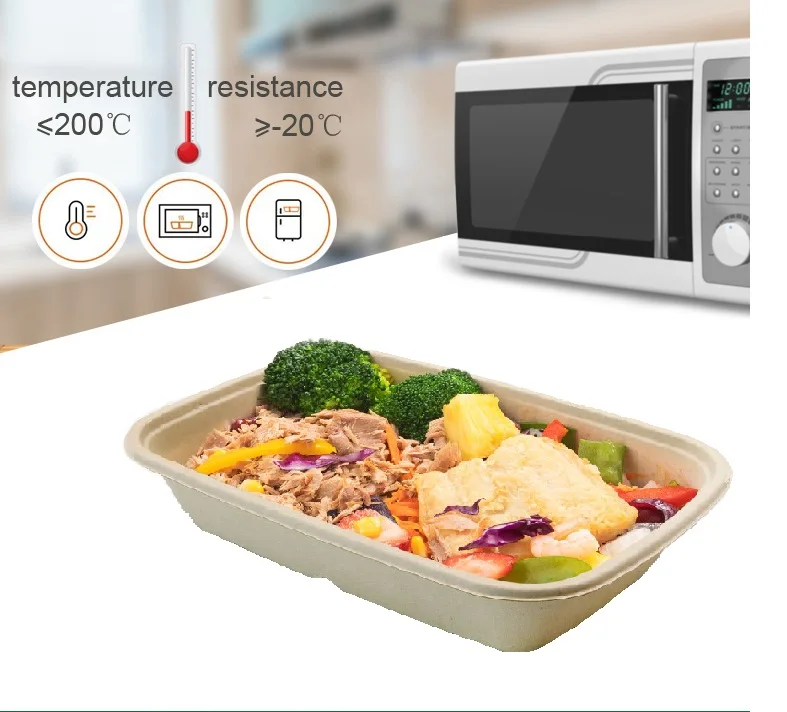 Microwavable Biodegradable Disposable Eco Friendly Take Away Custom Paper Food Delivery ...