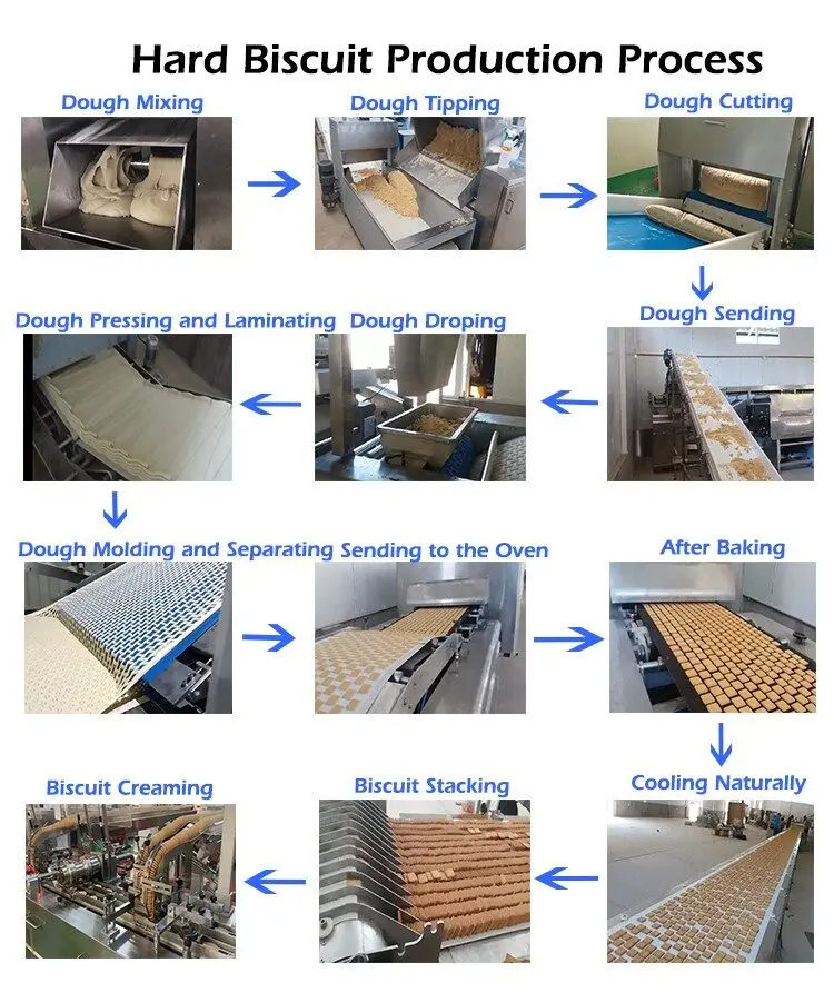 Biscuit Manufacturing Plant/biscuit Rotary Moulder/biscuit Dropping ...