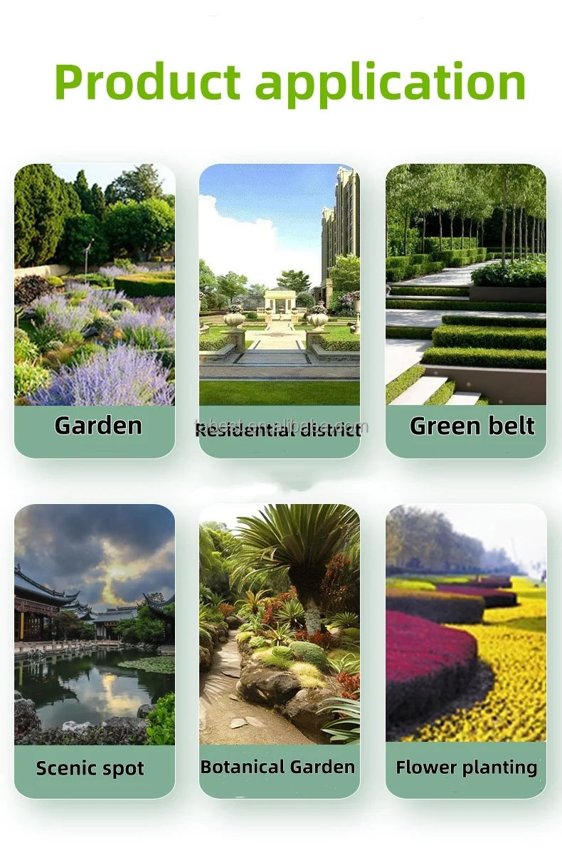 Grass Stone Divider Tool T-type Flat Tree Pool Water Barrier Strip ...