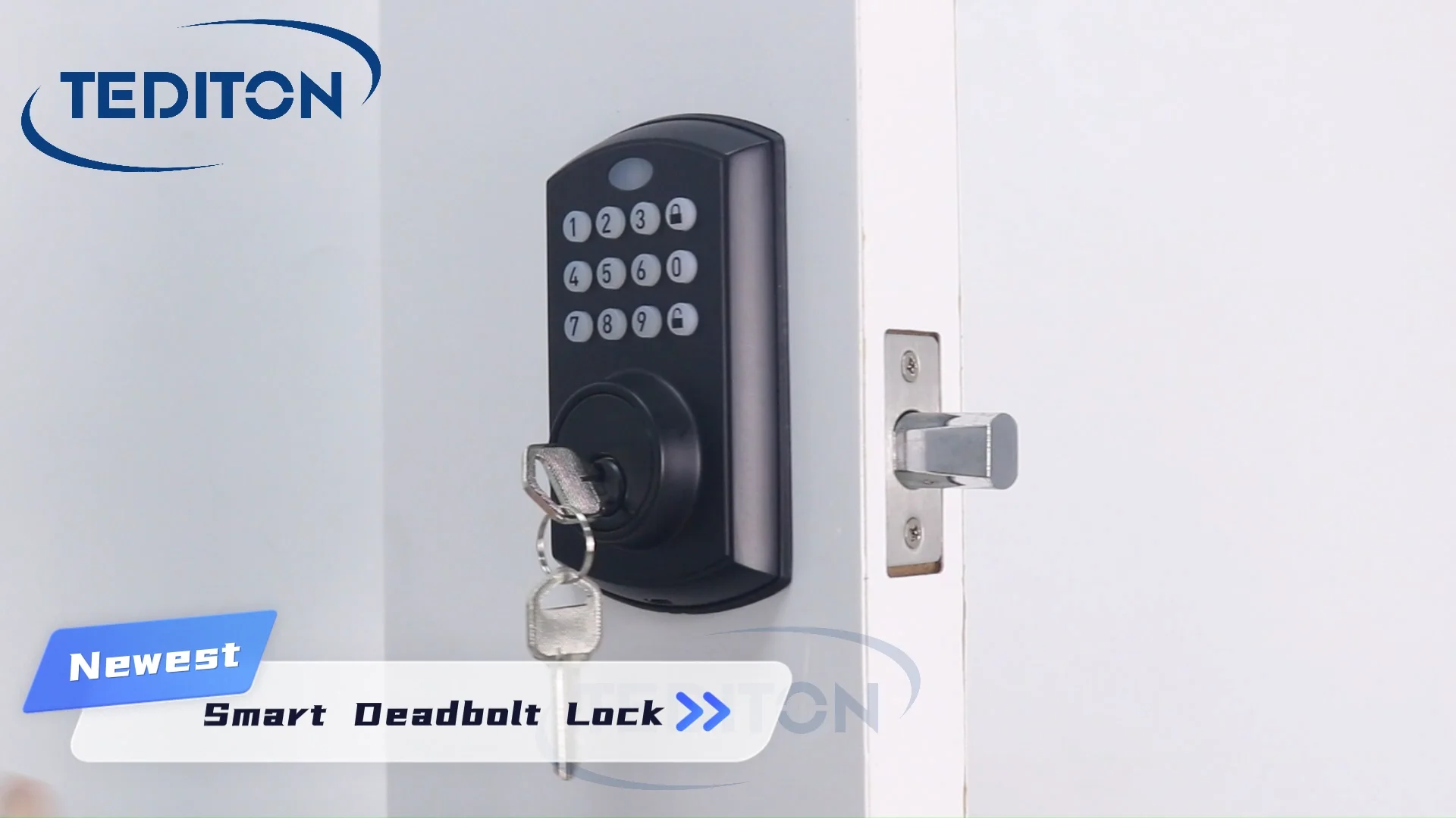 Tediton Security Outdoor Waterproof Keyless Auto Lock Smart Tuya ... Tediton Security Outdoor Waterproof Keyless Auto Lock Smart Tuya ...