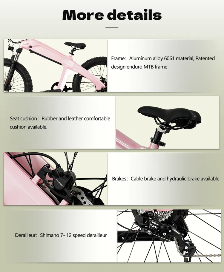 Aimos Ebike Carbon Fiber 48v Electric Bike 1000w Motor