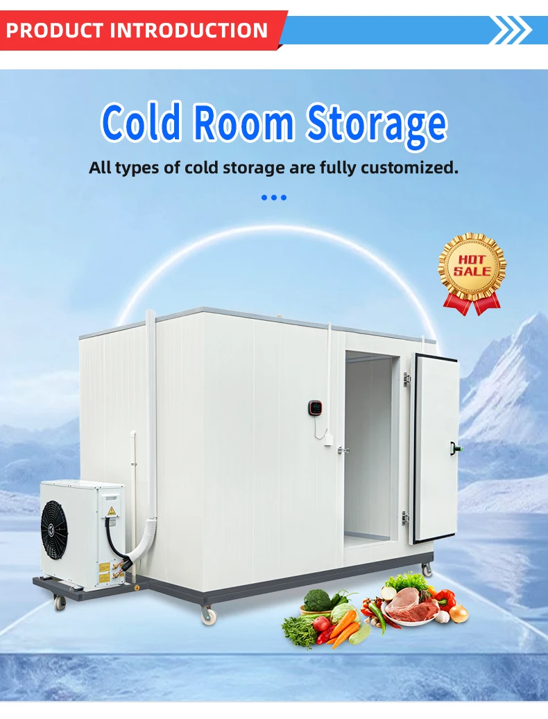 Freezer Container 40ft Cold Storage Room Solar Cold Storage Room for 50 ...