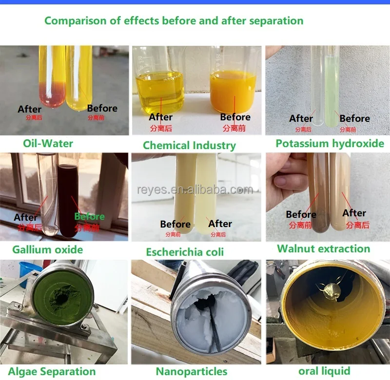 High Productivity Algae Harvesting with Reyes Centrifuge