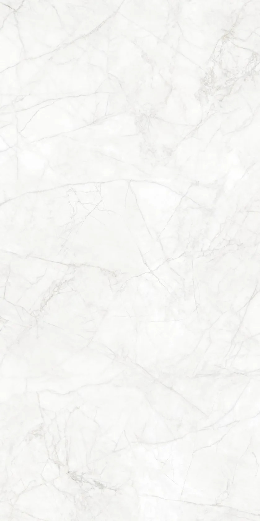 Purple Bulgari Marble Stone Calacatta Viola 1200 X 2700 X 6mm Walling ...