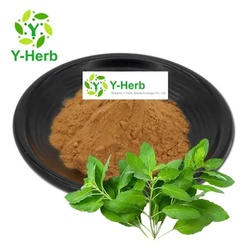 Tulsi Leaf Holy Basil Powder Organic Bulk European Basil Herb/ocimum ...