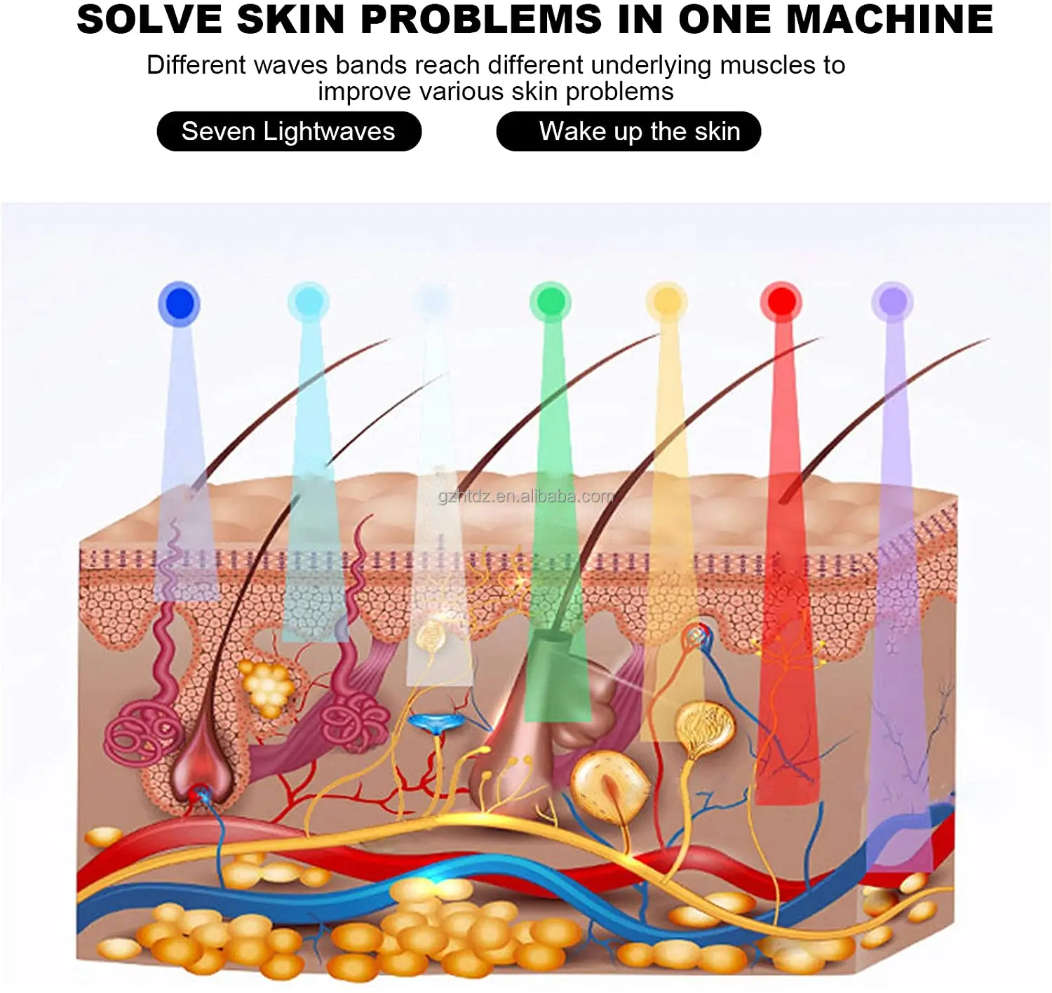 Korea O2 Derm Oxygen Spray Dome Facial LED Photon Dome Therapy Machine ...