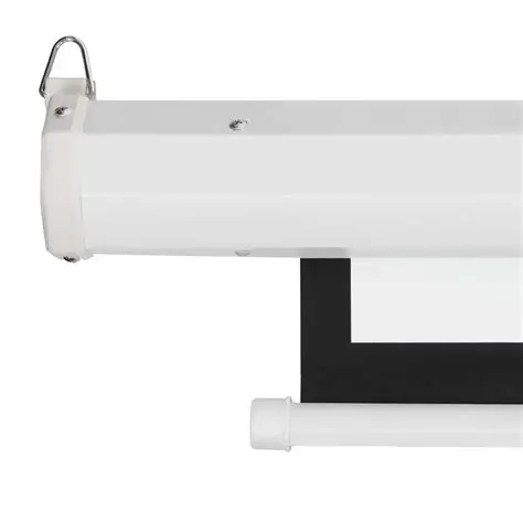 Telon 200 Inch Electric Projector Screen - Matte White 4K