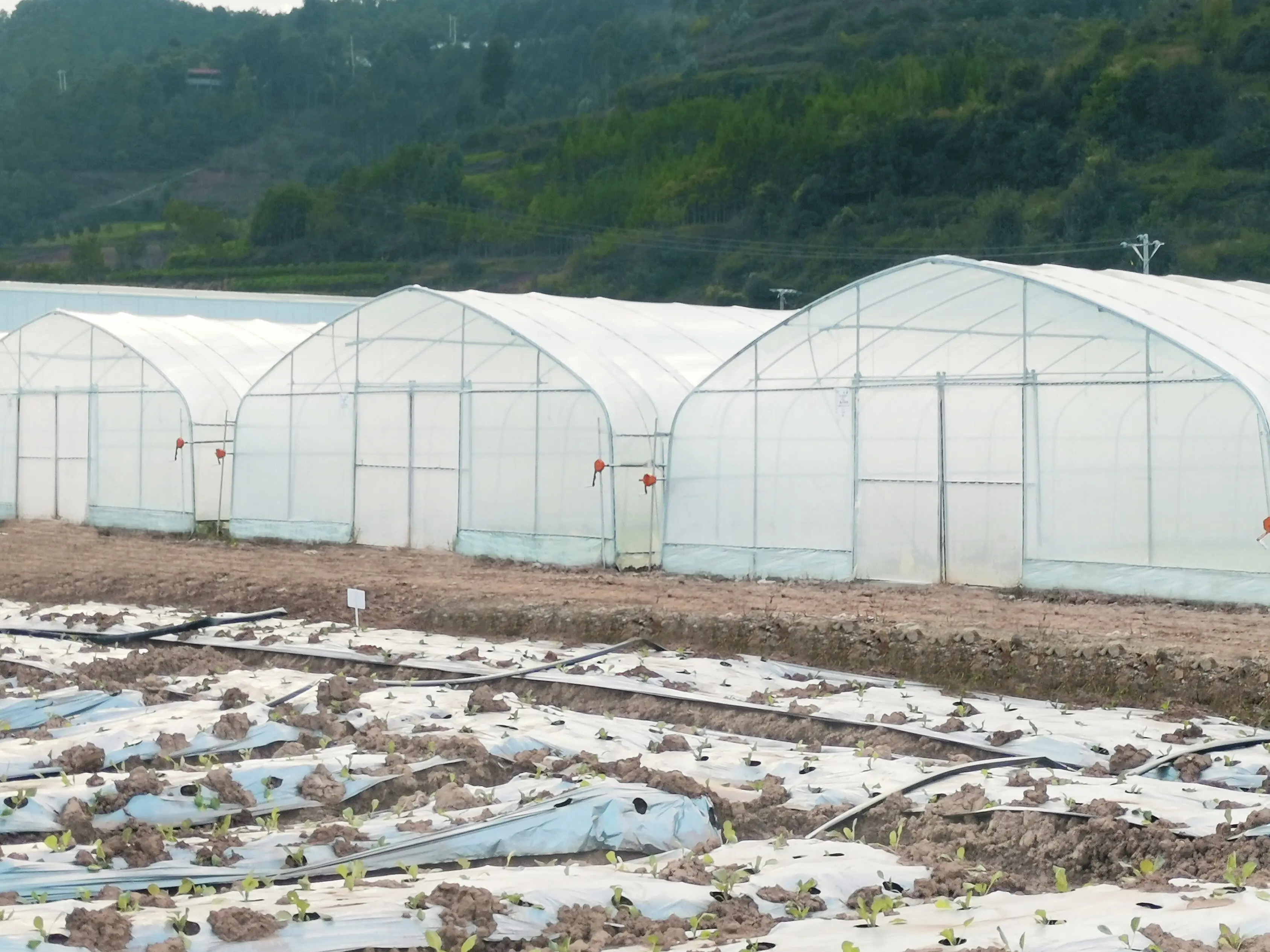 Poultry House For 10000 Agricultural Broiler Breeding Room Movable ...