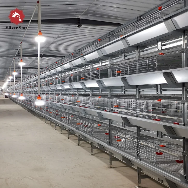 Free Plan Layout Design for Broiler Chicken House - Technical Proposal ...