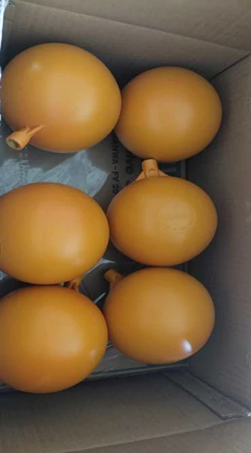 6"inch Float Valve With Copper Ball Brass Insert Abs Plastic Floating ...