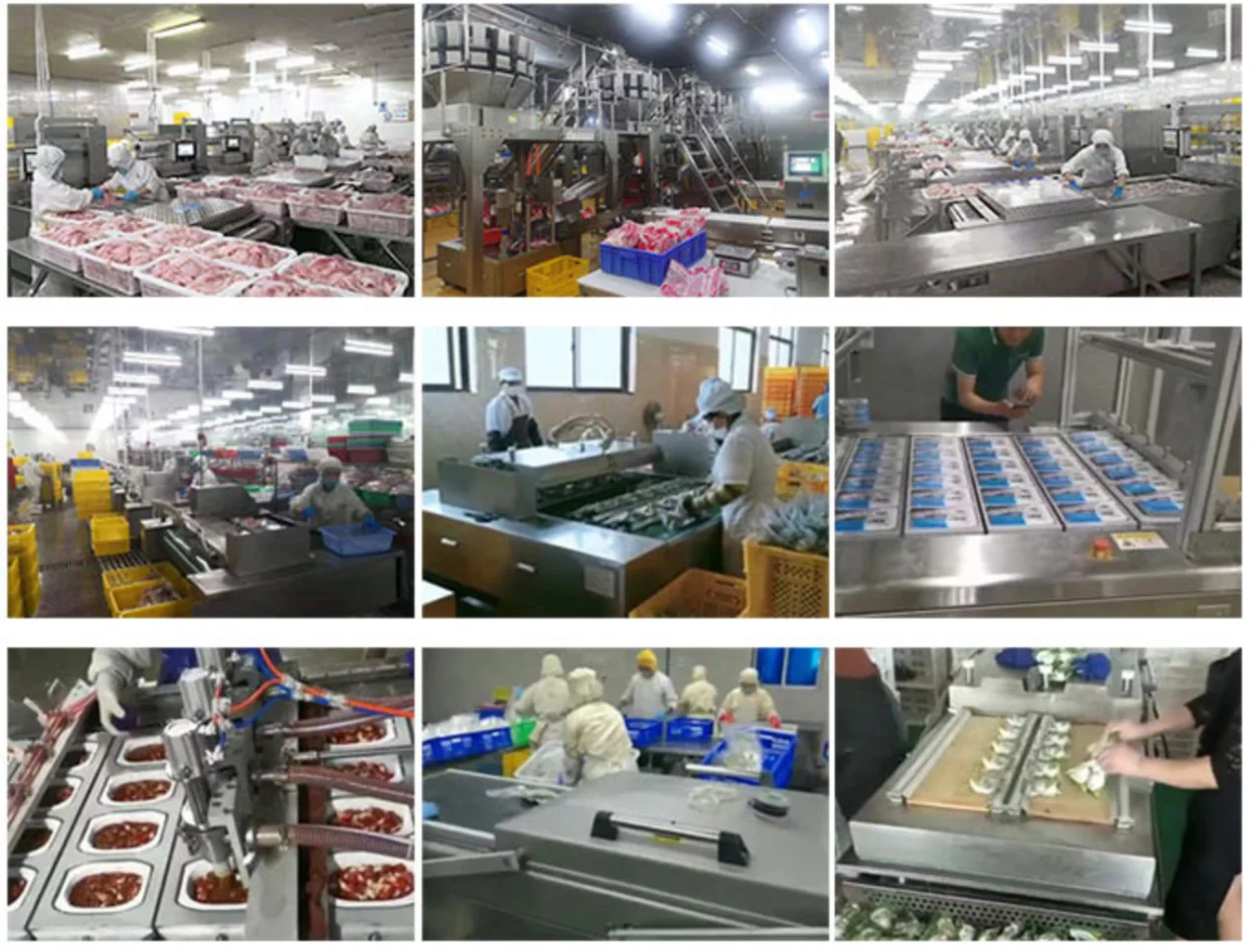 Tabletop Map Tray Sealing Machine - Efficient & Reliable