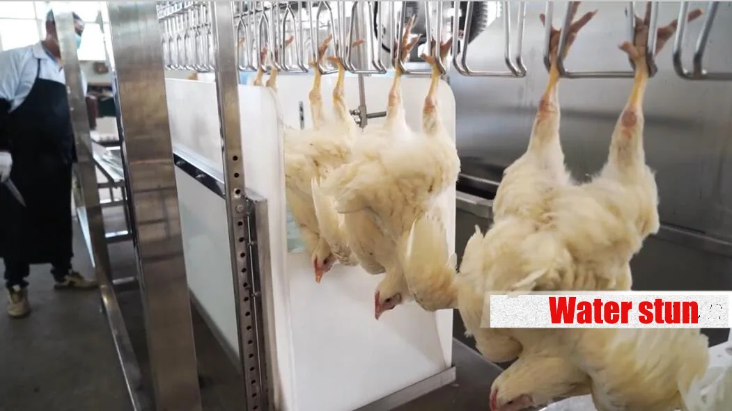 High Efficiency Chicken Slaughter Machine - XINBAIYUN