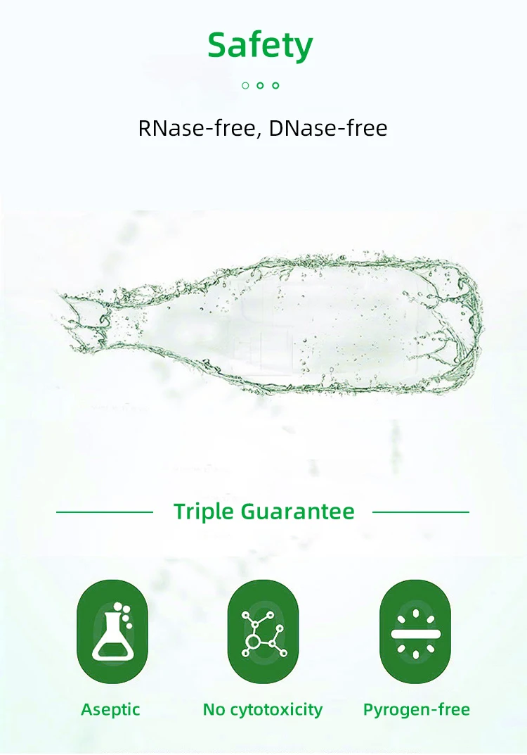 Laboratory Plastic Reagent Sterile 25cm Cell Culture Flasks Suppliers ...