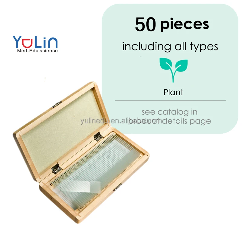 50 Pieces Set Botany Slides Microtome Paraffin Section Microscope ...