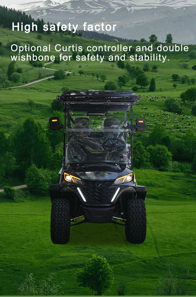 Professional Custom Golf Cart 6 Seats Electric Golf Off-road ...