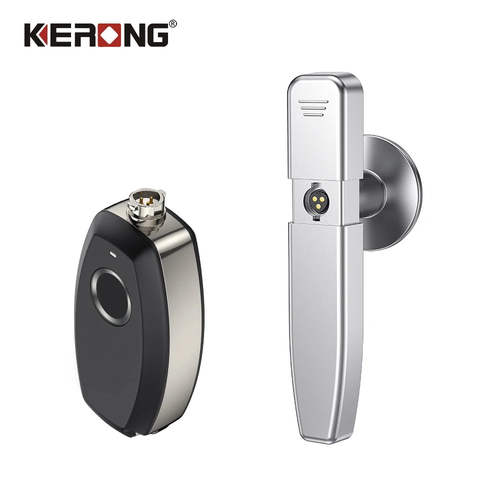 KERONG Customised Passive Lock with Handle for Cabinet Protection in ...