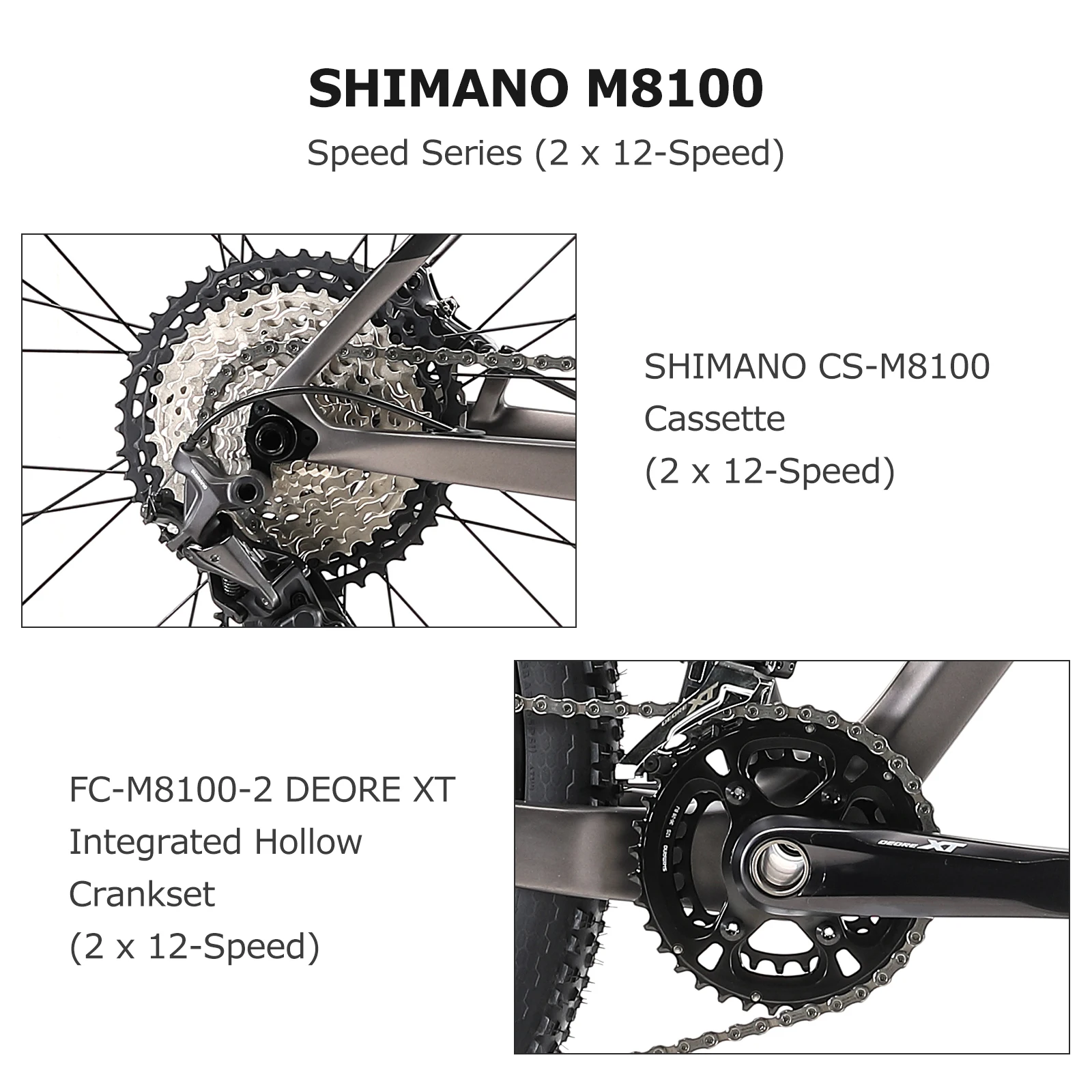 SAVA Carbon Fiber Frame Mountain Bike T800 Full Carbon Fibre MTB ...