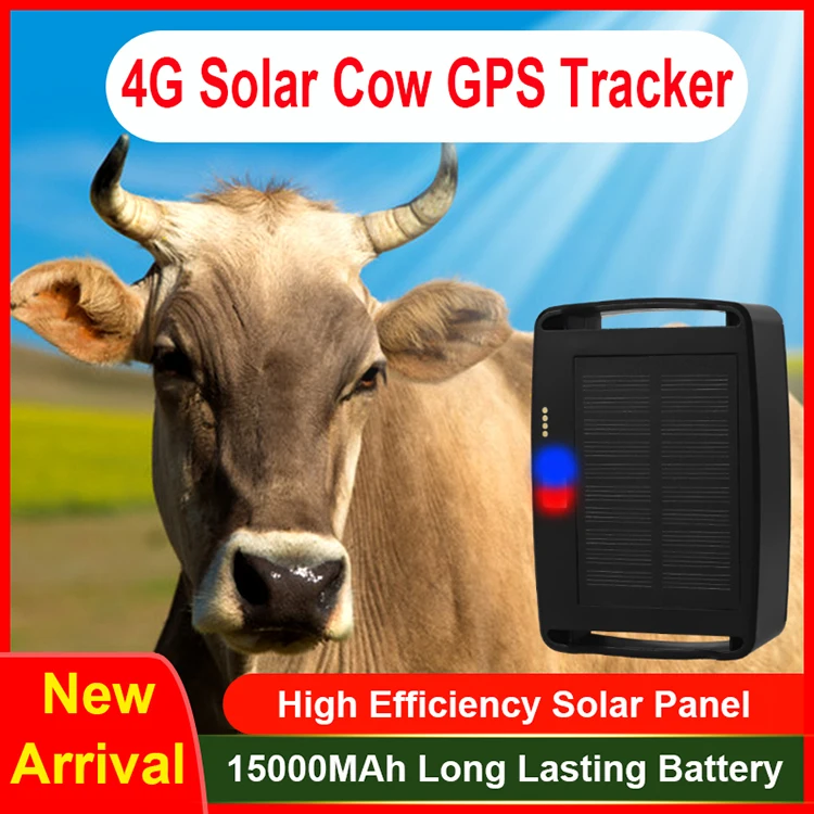 Waterproof Solar Powered GPS Tracker for Cattle & Sheep - G20 Livestock ...