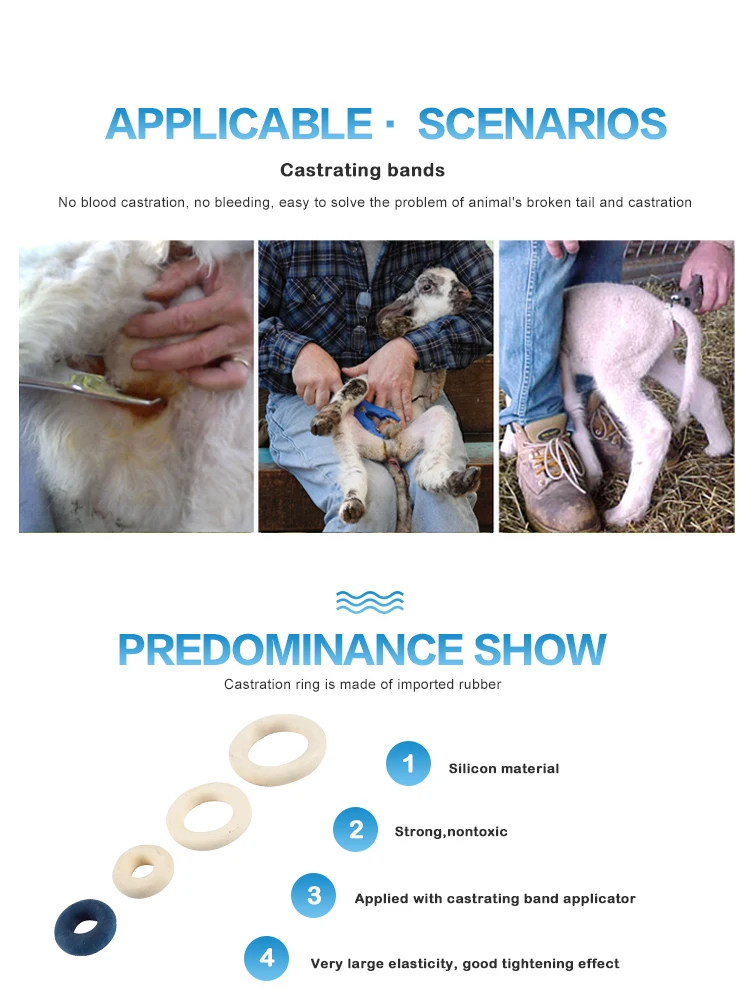 Kd922 Veterinary Pig Cattle Sheep Tail Cutting Castration Rubber Ring ...