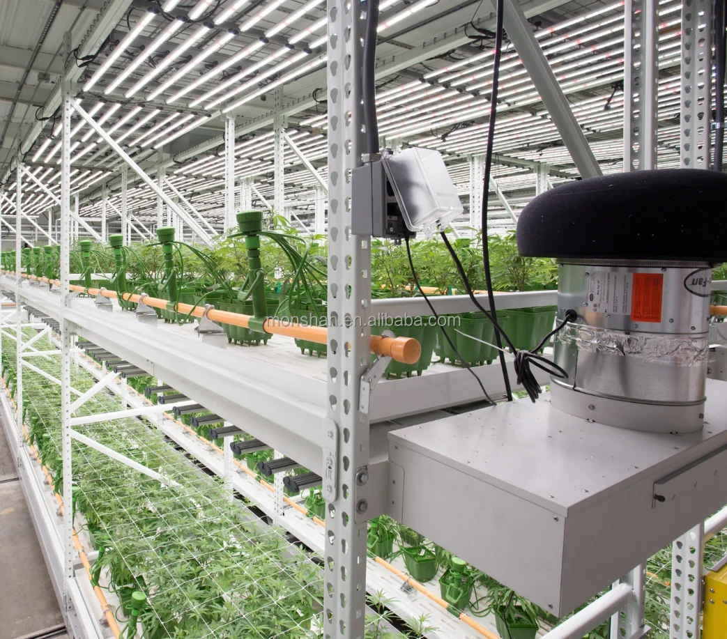 Greenhouse Raised Planter Movable Vertical Grow Rack Rolling Table Top ...