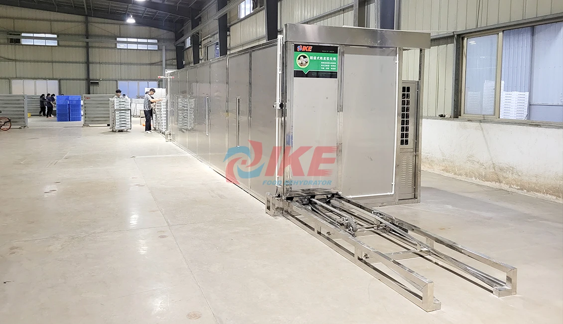 Tunnel Dryer for Food air Drying Chamber for Meat Curing and Drying Dry ...