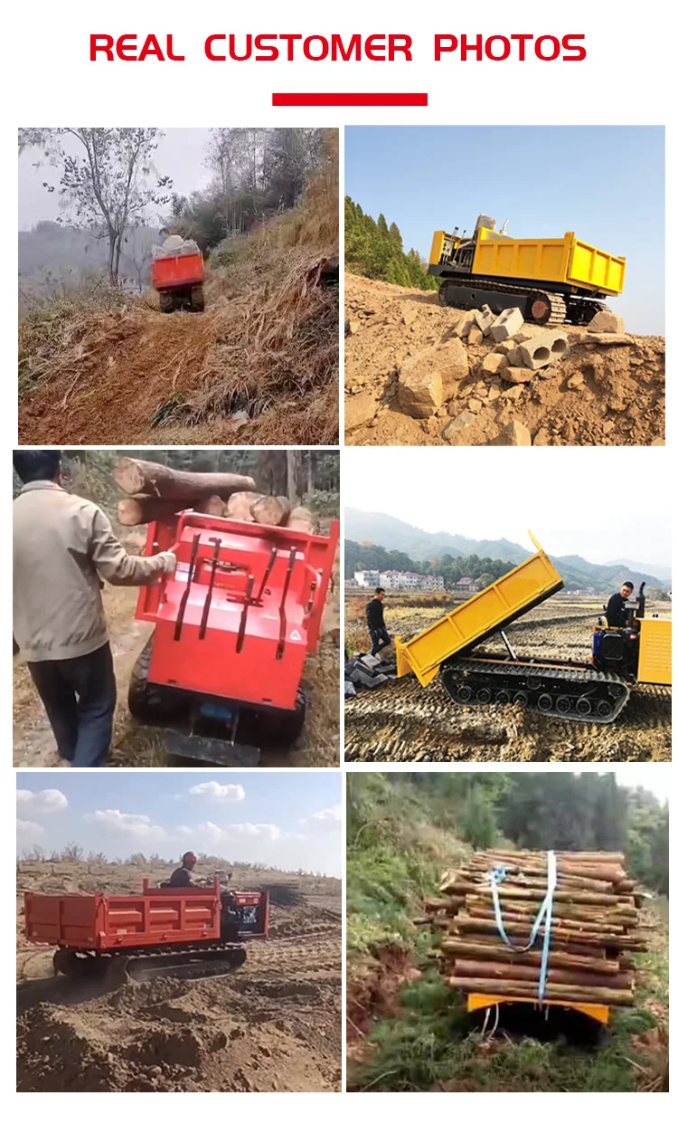Small Tracked Dump Trucks with Discounted Prices, Rubber Tracked ...