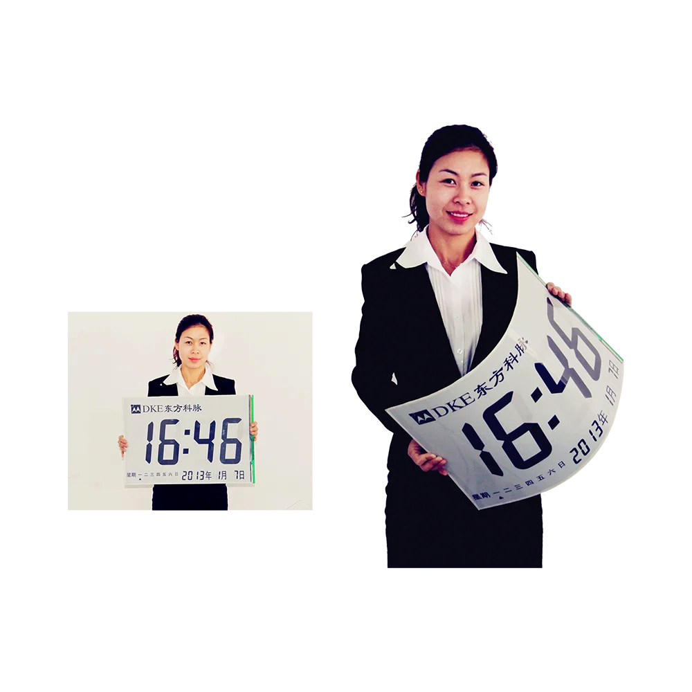 Large Size Segment E Ink Display Screen for Smart Devices