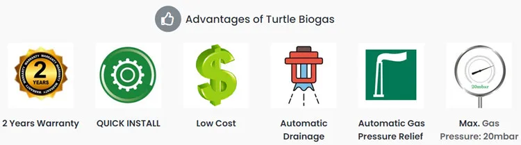 Mini Home Biogas System - Efficient Methane Digester