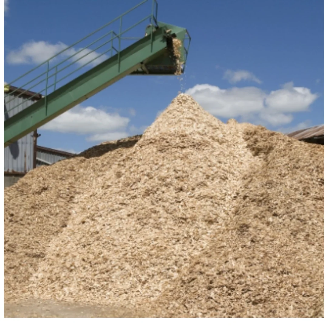 Wood Chips Wood Chips Peeled Acacia Meet Quality Standards for Wood ...