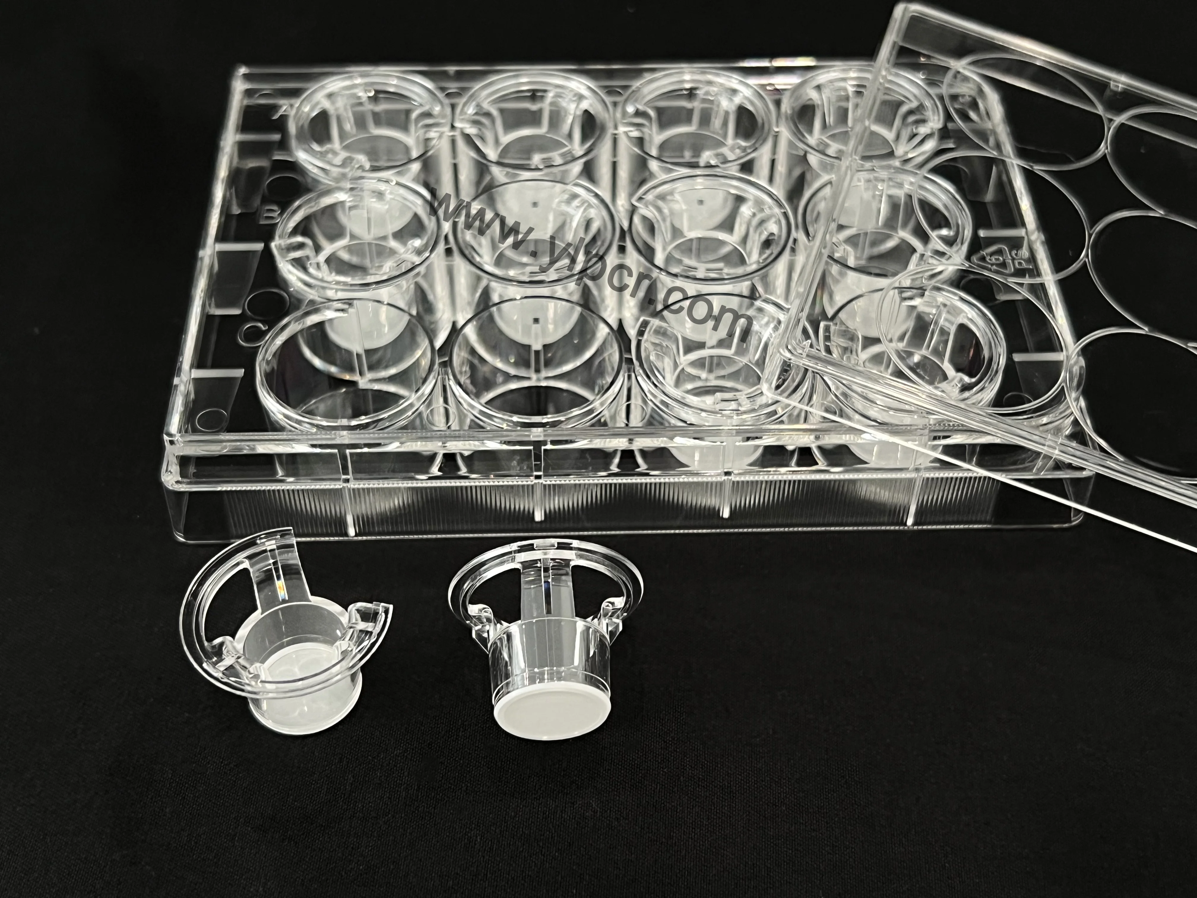 Permeable Cell Culture Inserts,Cell Culture Plate,0.4um Pet Film - Buy ...