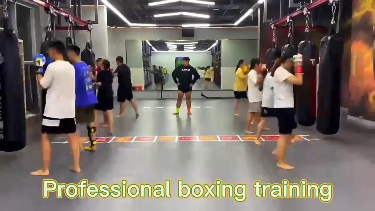 Top Quality Wall Mount Sandbag Boxing Sandbag Wall Bracket Kicking Bag ...