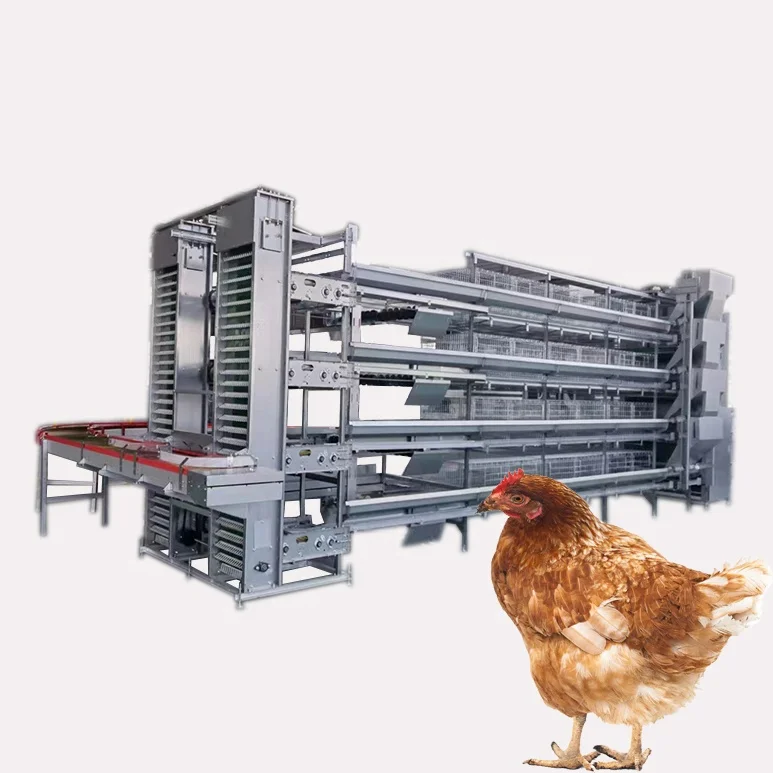 4 Layer Fully Automated System For Chicken Laying Hens Cage - Buy ...