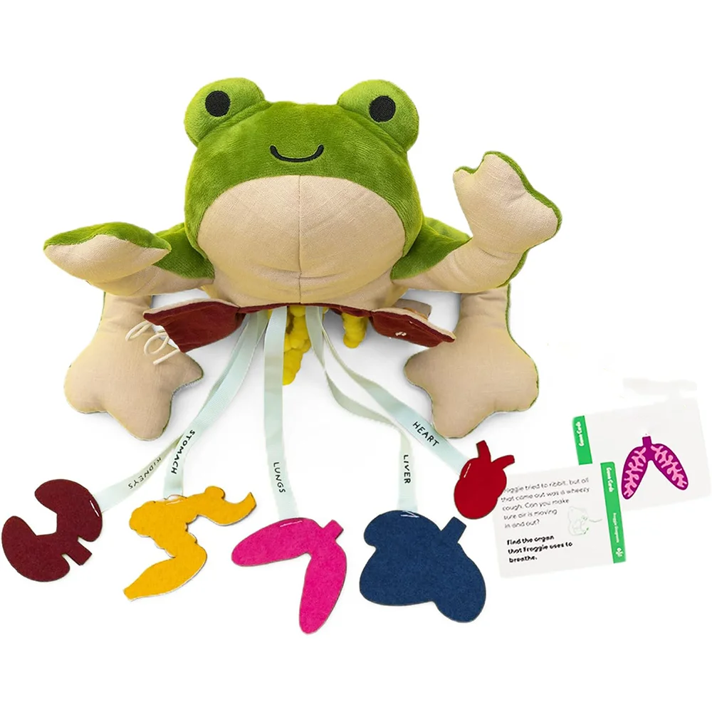 Froggie Lab Dissection Anatomy Fun Science Learning Stuffed Animal ...