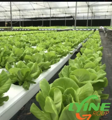 Hydroponic NFT Channel Grow Systems - Efficient Hydroponics