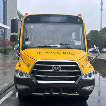 Ankai 8m School Fuel Bus 21 - 40seats Euro 5 Hot Sale - Buy School Bus ...