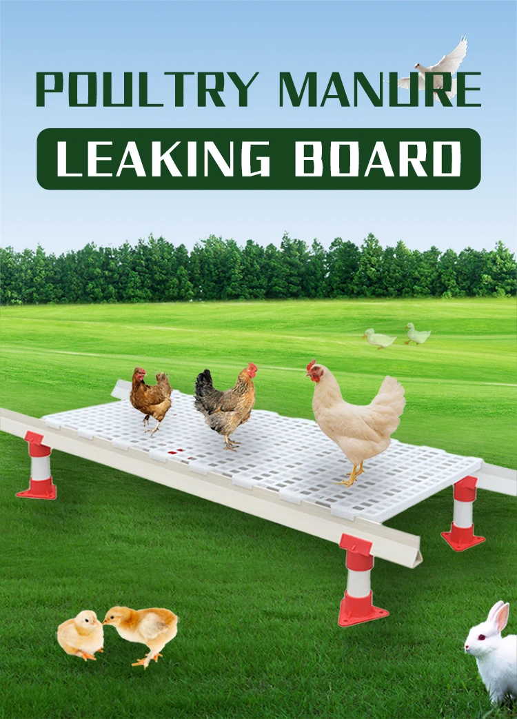 Plastic Poultry Slat Floor - Durable & Hygienic Chicken Housing