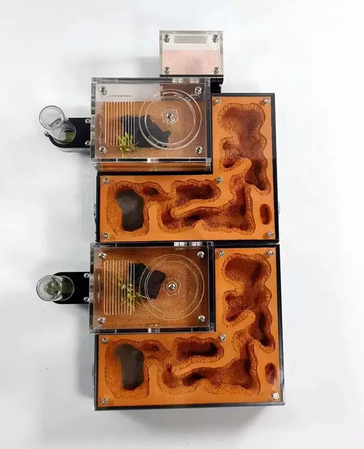 Ant Queen Anthill Castle Ant Farm with Water Tower & Eco-Friendly Design